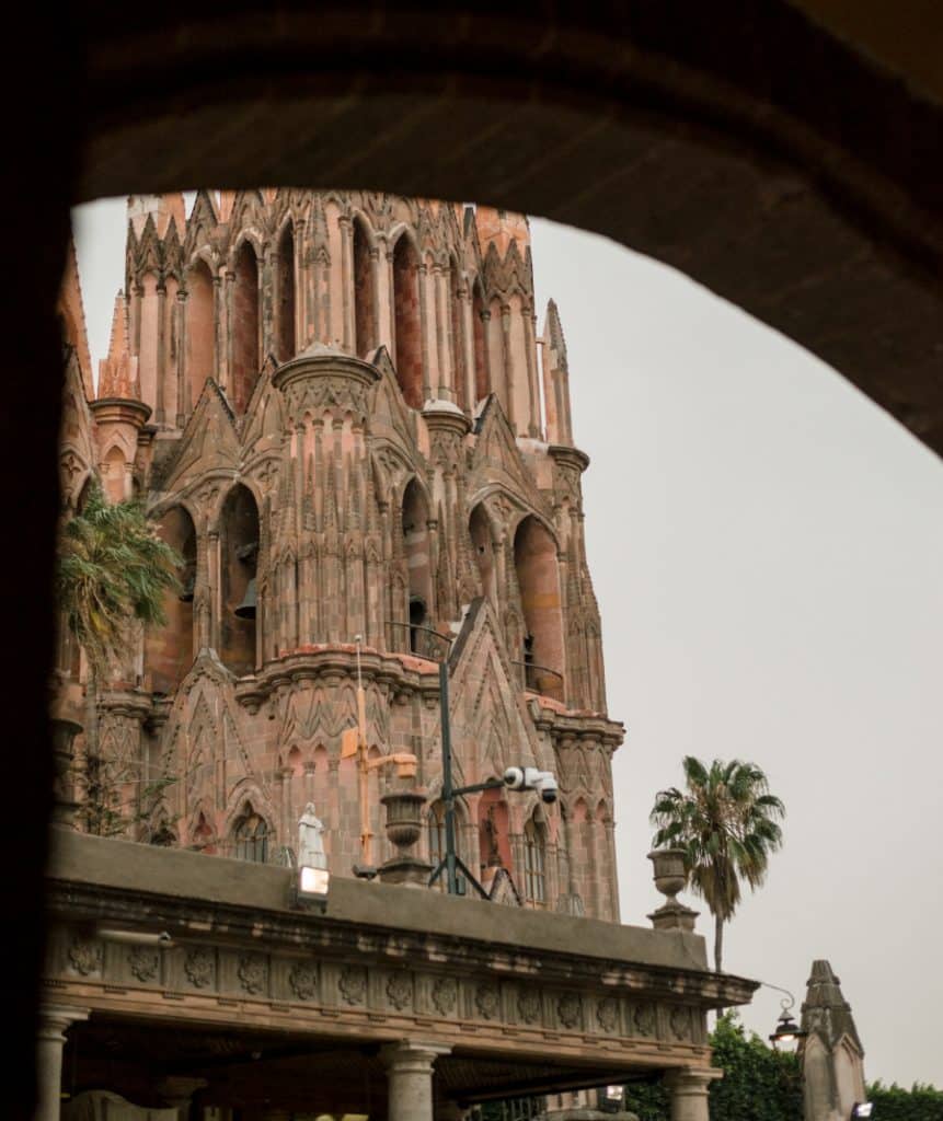 HORTUS el nuevo restaurante que te remitirá al edén - Local SMA Guide ...